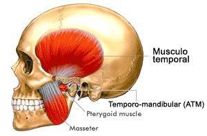 Tratamento da Atm - Articulação Temporo Mandibular, Artigo | Ident